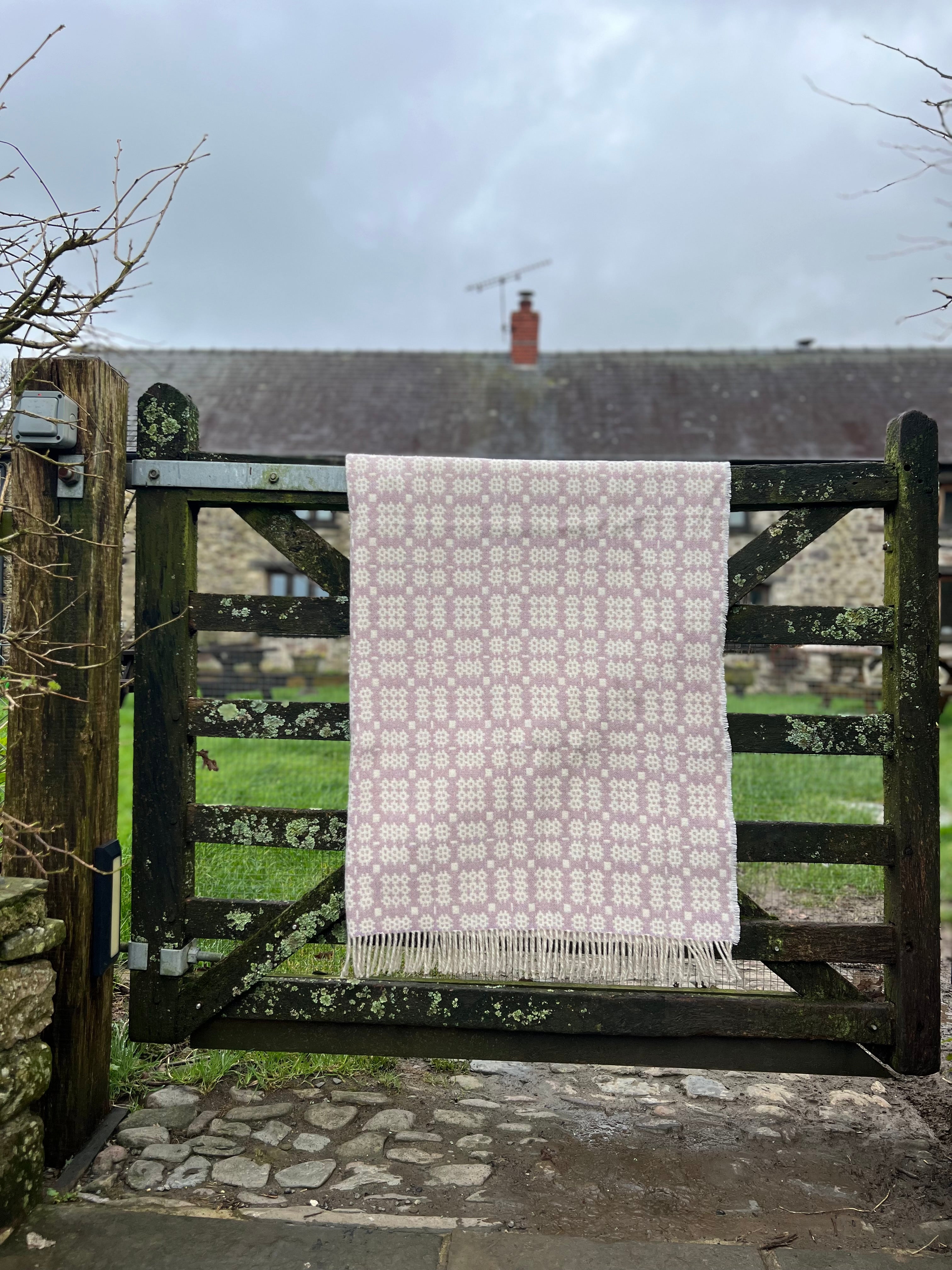 Welsh Tapestry Throw - Porffo & Gwyn – Welsh Tweed