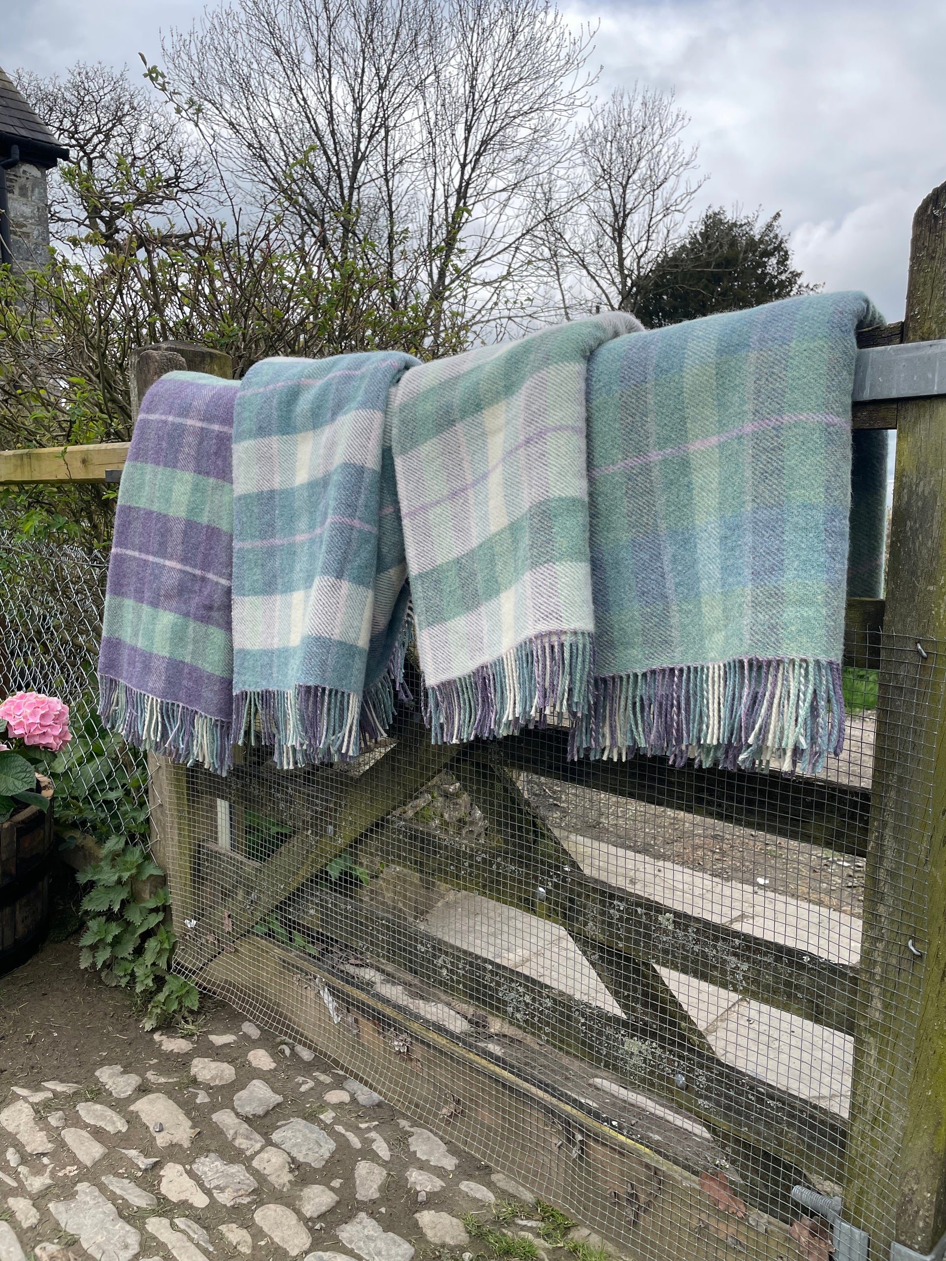 Pentwyn Welsh Tweed